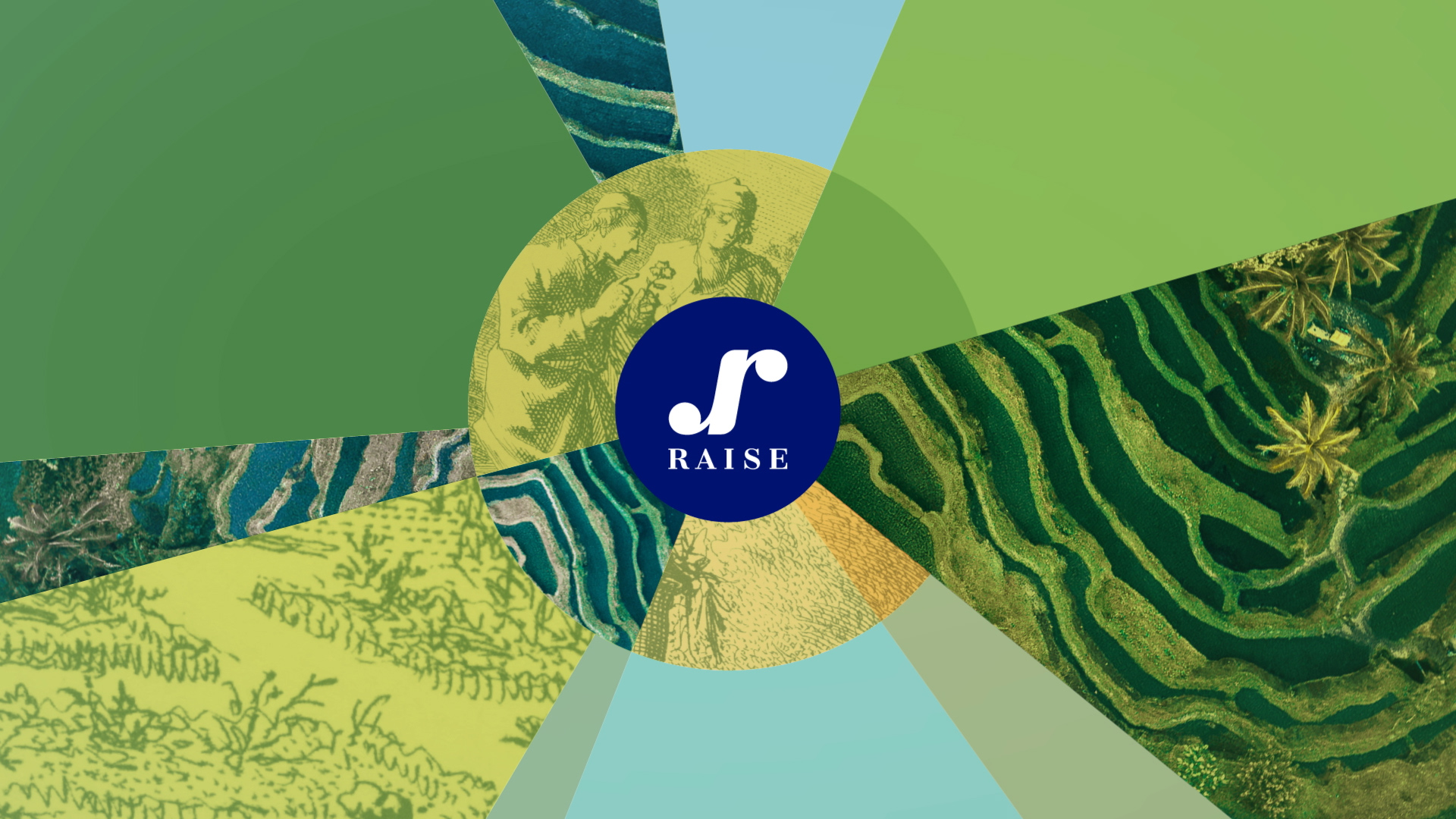 motion design : raise impact - Malachite Creative Studio